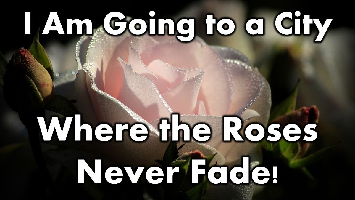 I Am Going to a City Where the Roses Never Fade! (Gospel Tract) - EAR ...